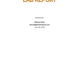 Lab Report Template Google Docs