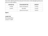 Sample Debit Note Template Free Pdf Word Doc Apple Mac Pages