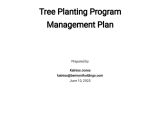 Program Management Plan Template Google Docs Word Apple Pages Pdf
