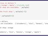 Tuple Datatype In Python The Engineering Projects