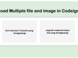 Upload Multiple File And Image In Codeigniter Tpoint Tech
