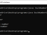 Duck Number Java Tpoint Tech