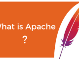 Apache Tomcat Server Vs Apache Webserver Tpoint Tech