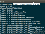 How To Install Codeigniter In Ubuntu Tpoint Tech
