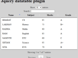 The Jquery Data Table Plugin Tpoint Tech