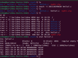 Basic Linux Commands Tpoint Tech