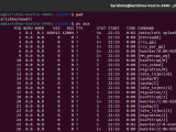 Basic Linux Commands Tpoint Tech