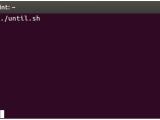 Shell Until Loop Tpoint Tech