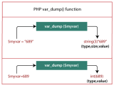 Var Dump Function Tpoint Tech