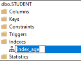 Index In Sql Server Tpoint Tech