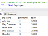 Sql Server Comments Tpoint Tech