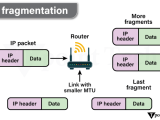 Network Layer Tpoint Tech