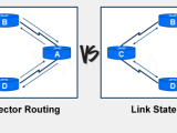 Network Layer Tpoint Tech