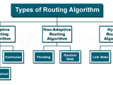 Routing Algorithm Network Layer What Is Osi Model 7 Layers Of Osi