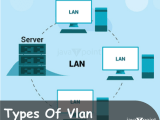 Vlan Virtual Lan Tpoint Tech