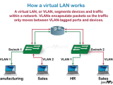 Vlan Virtual Lan Tpoint Tech