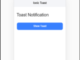 Ionic Toast Tpoint Tech
