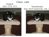 Cat Classification Using Machine Learning Tpoint Tech