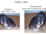 Cat Classification Using Machine Learning Tpoint Tech