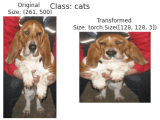 Cat Classification Using Machine Learning Tpoint Tech