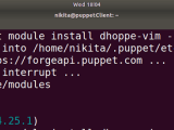 Puppet Modules Tpoint Tech