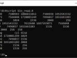 R Binary File Tpoint Tech