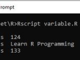 R Variables Tpoint Tech
