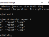 R Repeat Loop Tpoint Tech