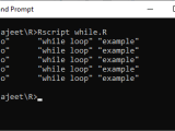R While Loop Tpoint Tech