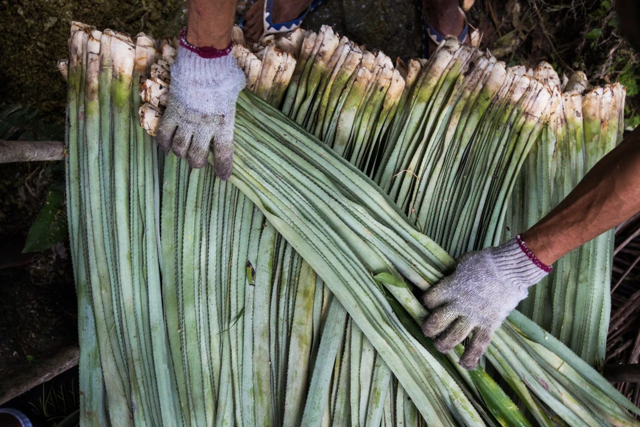 Food Companies Add Ai To Their Recipes Wsj