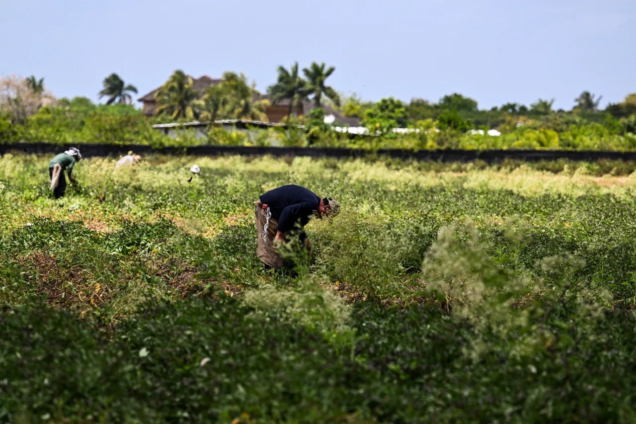 Trump Administration Publishes List Of Sanctuary Cities And Counties To