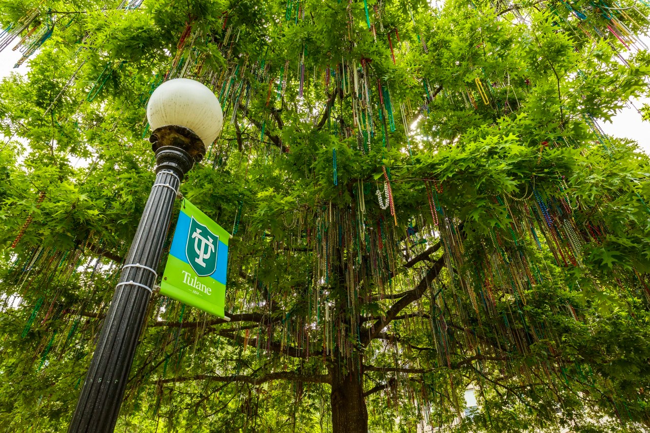 The Top U S Colleges Offering The Best Value For 2025 Wsj