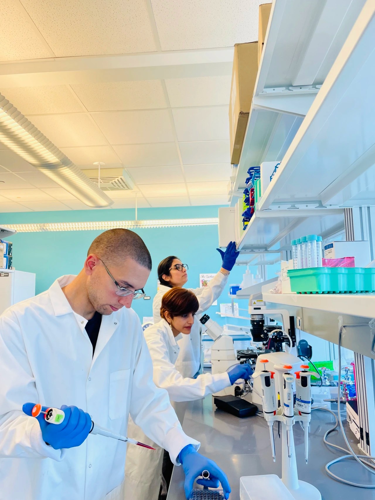 Saudi Arabia Is Dangling Billions For Research On Aging Scientists Are