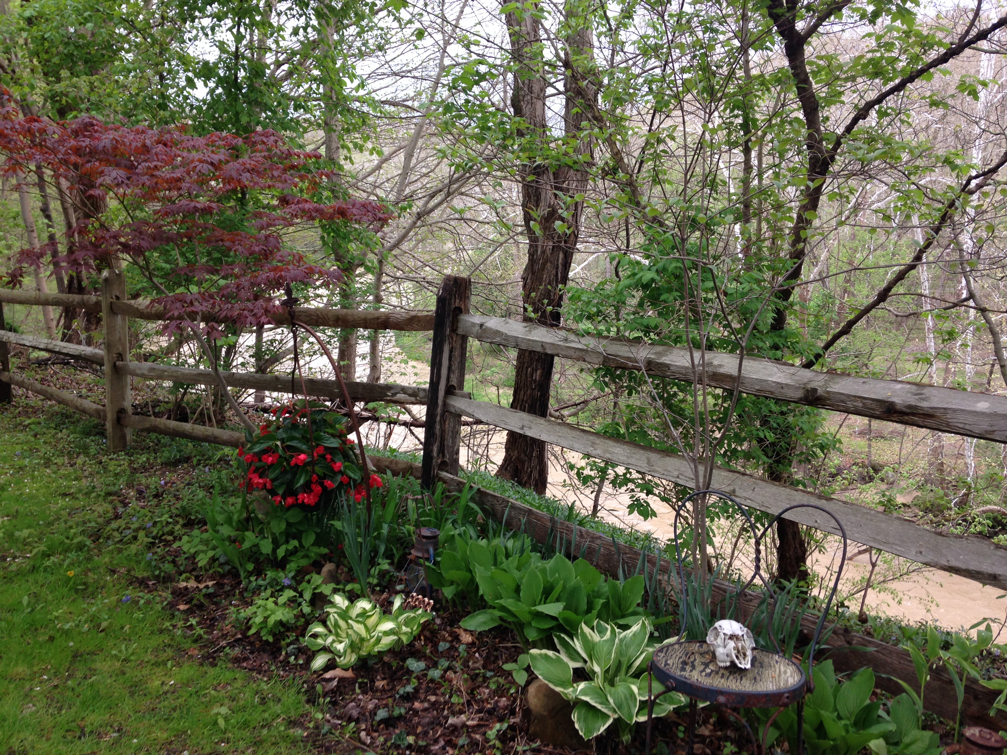 Spring is Blooming at the Log Cabin Gallery – Images In Bloom Studio