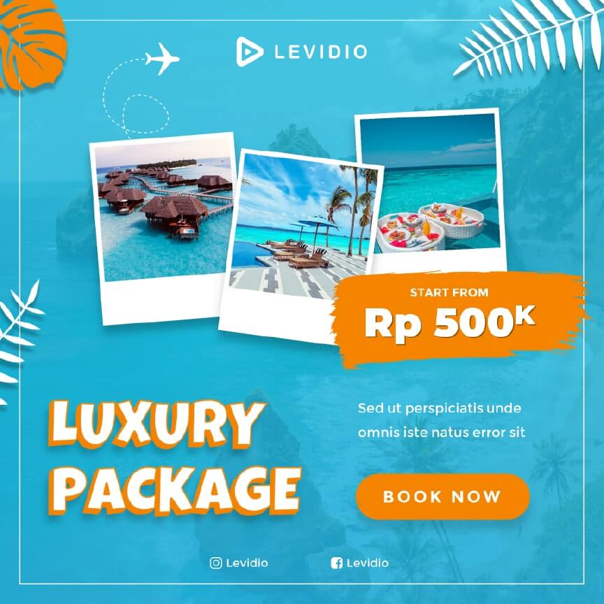 The Feed V2 - Aset Video dan Grafis untuk Promosi Profesional - iMerspedia