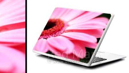 Decora Visual: protege y decora tu laptop con skins | decoravisual