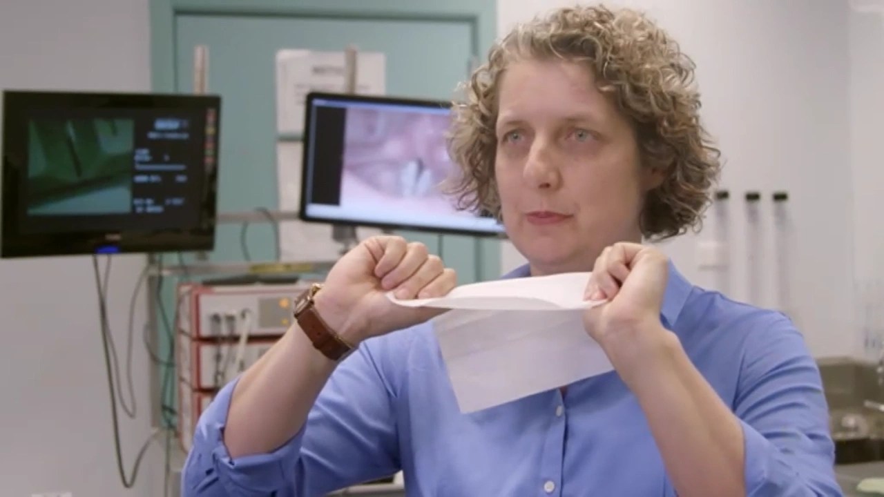 Why Do We Sing Video Resources Clickview