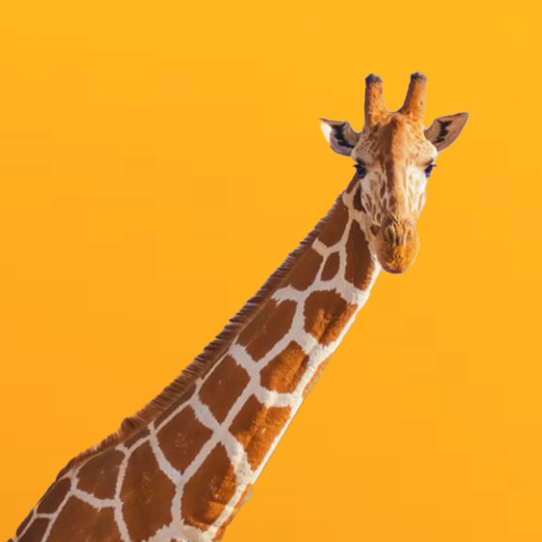 Living Things Videos Resources Worksheets Clickview