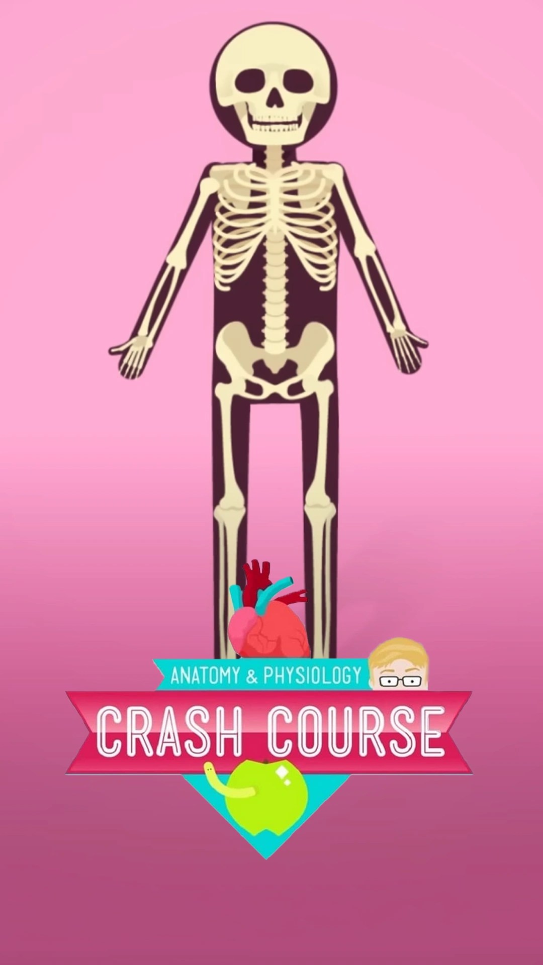 Crash Course Anatomy And Physiology Clickview