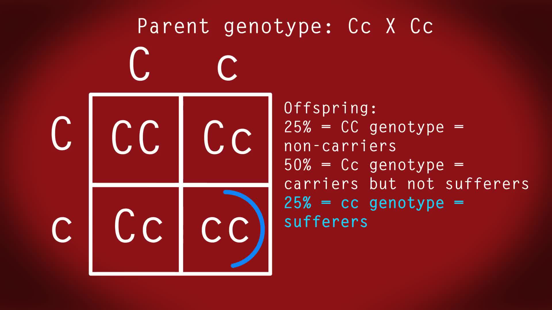 Fuseschool Biology Genetics Videos Resources Clickview