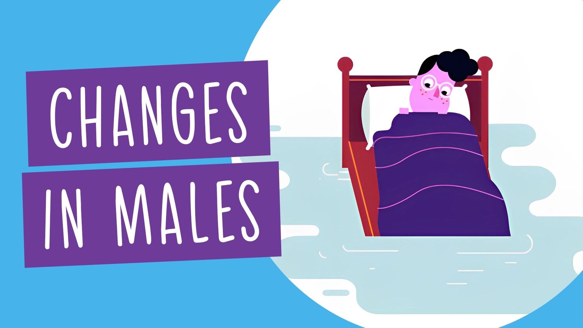 Top Signs Boys Are In Puberty Video Resources Clickview