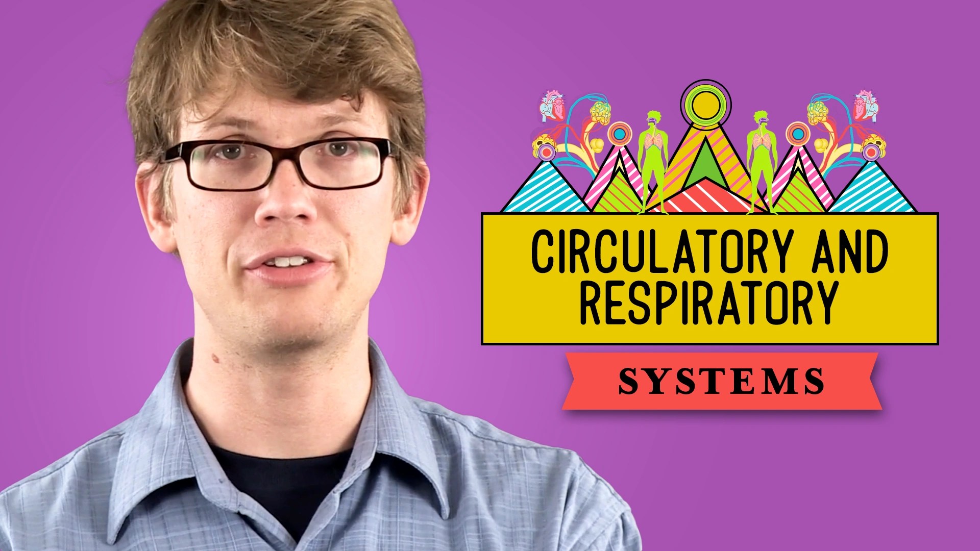 Circulatory And Respiratory Systems Clickview