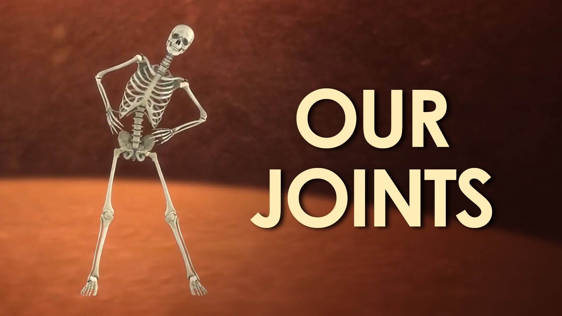 Our Skeletal System Videos Resources Clickview