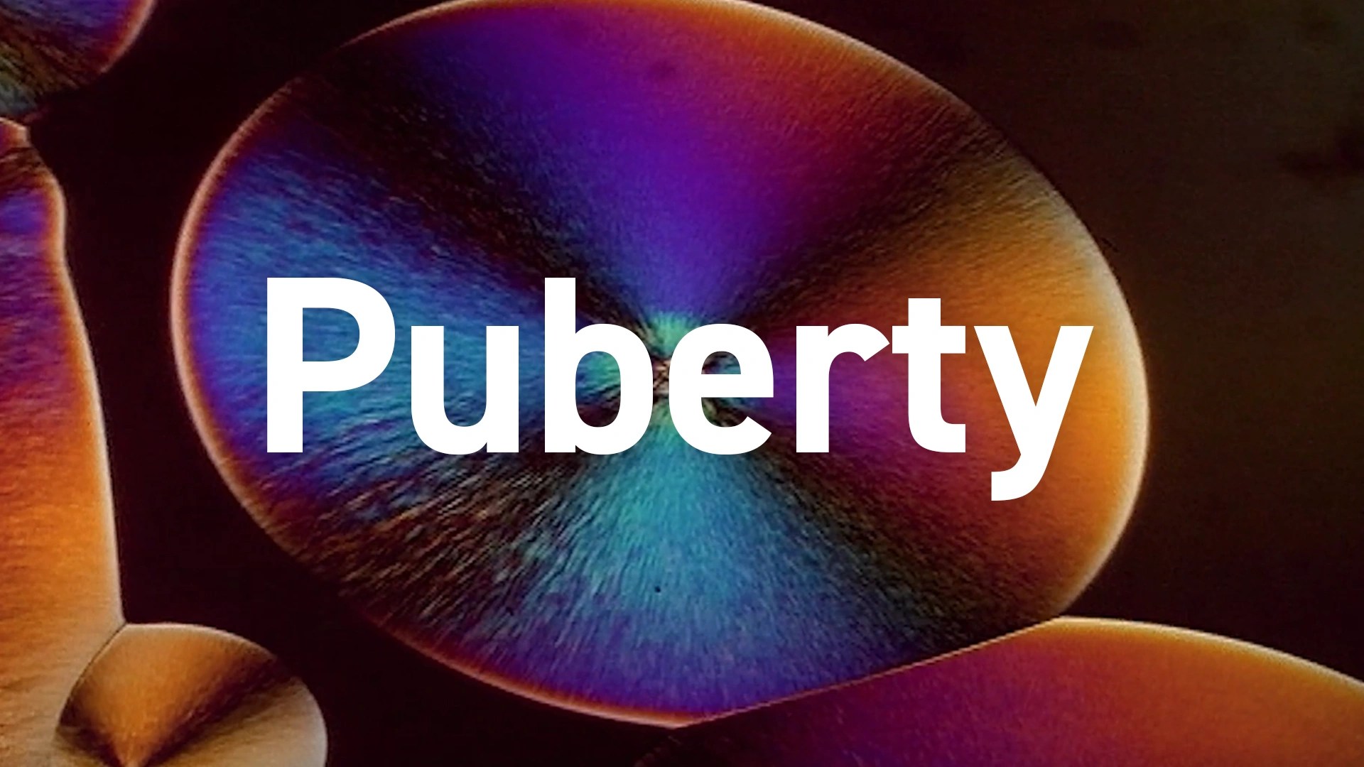 Introduction To Puberty Video Resources Clickview
