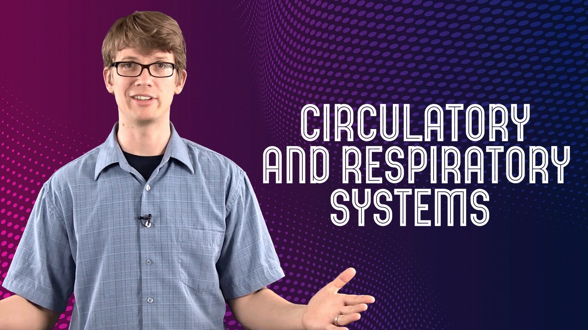 Circulatory And Respiratory Systems Clickview