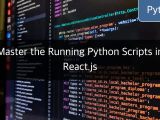 Master The Running Python Scripts In React Js Clonecoding