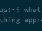 See Microsoft Even Linux Knows What Windows Is Devrant