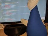 Debugging My Rubber But Not Really Rubber Duck Devrant