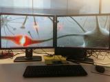 First Job Setup After Finishing College Devrant