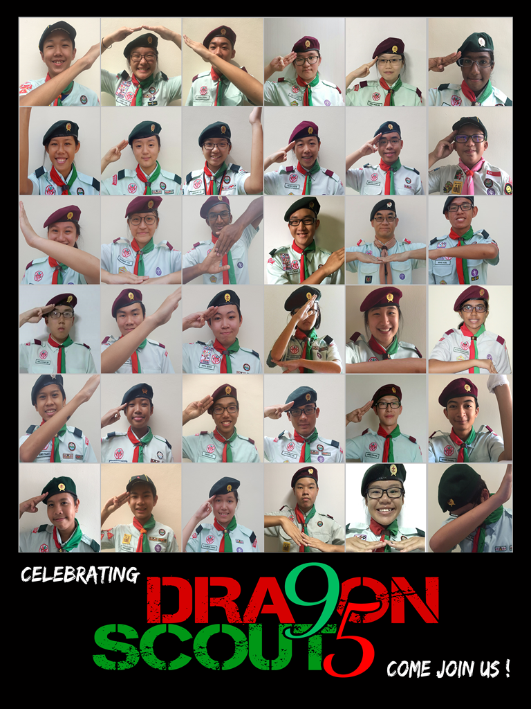 Happy 2017 as Dragon Scouts celebrate 95 !!!! | Dragons Online!